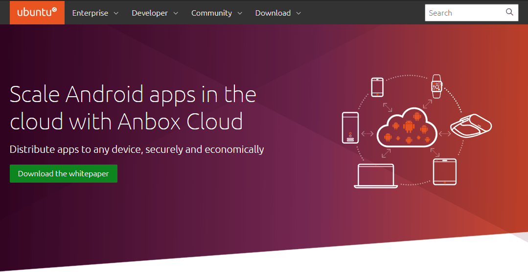 Best Linux Distro: Top 5 Most Popular Linux Distribution in 2025