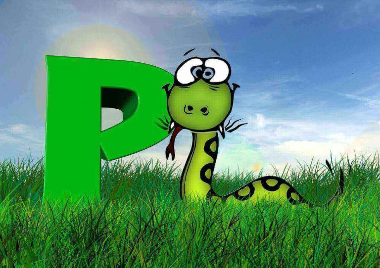 The CoderPedia » Your Gateway to Programming